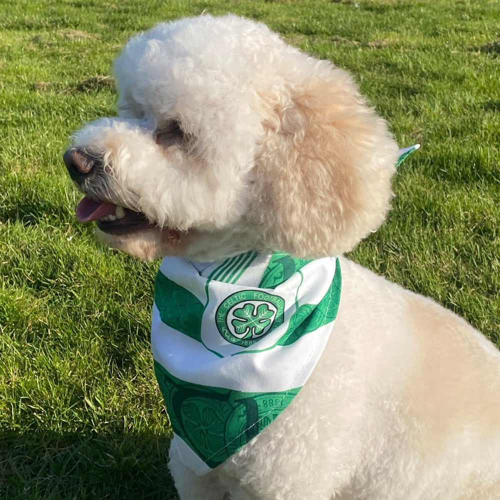 Celtic Retro 1996 Dog Bandana – Official Celtic Store